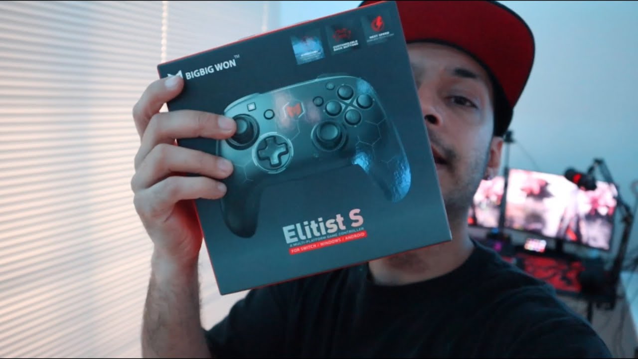 Nintendo Switch Pro Paddle Controller! (BigBigWon)