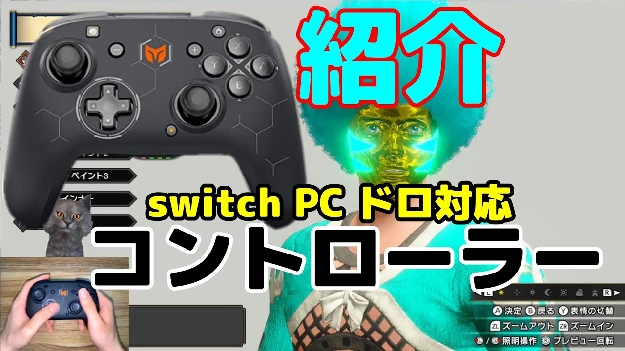 【BIGBIG WON】Switch対応コントローラー紹介