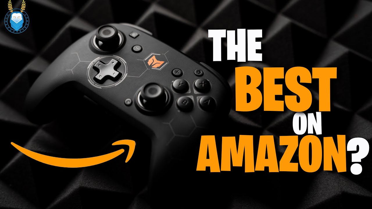The Best Nintendo Switch Controller On Amazon? (Big Big Won Elitist S